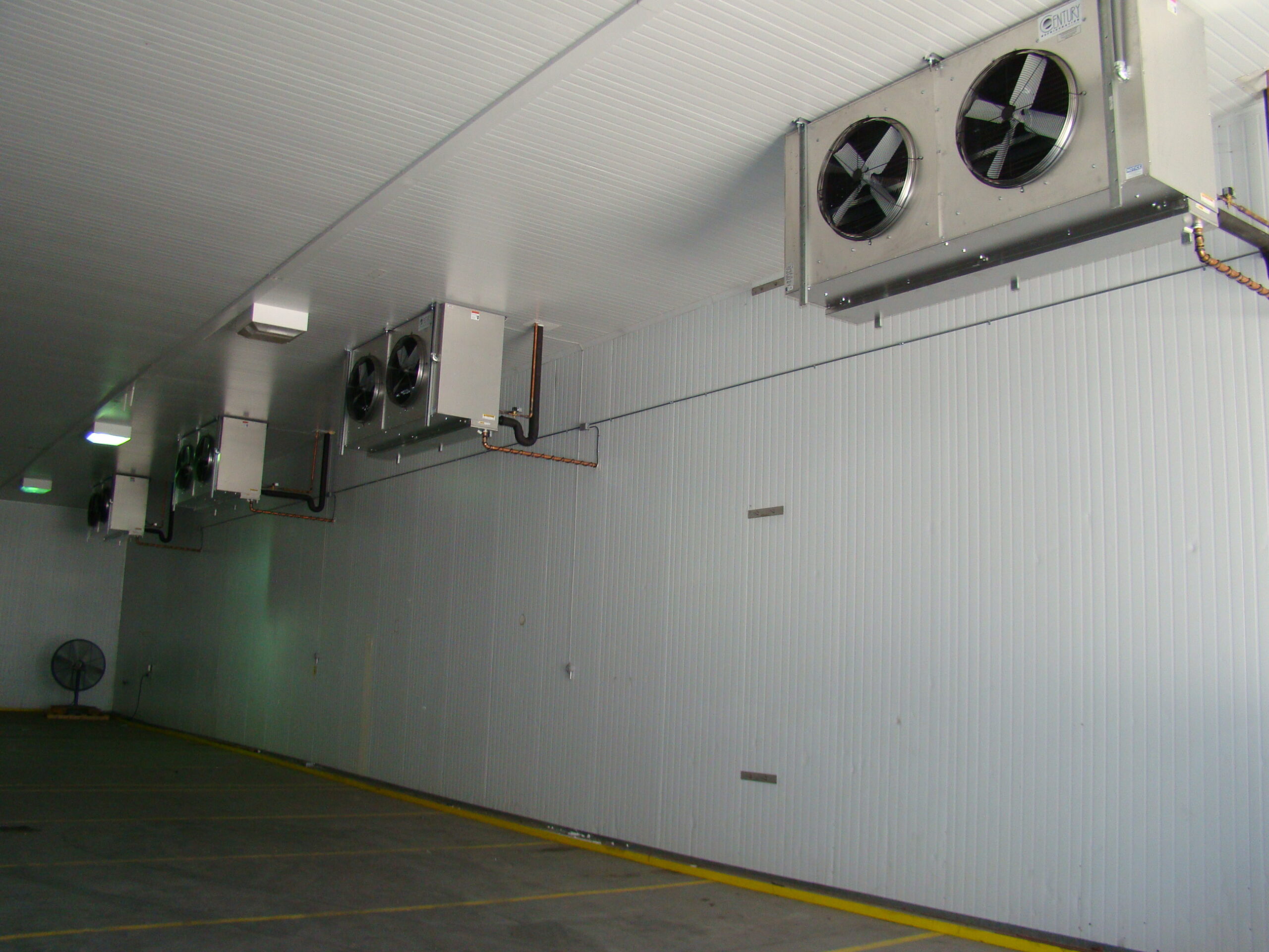Onion Cooling: A Sustainable Solution for Onion Storage - McDonald ...